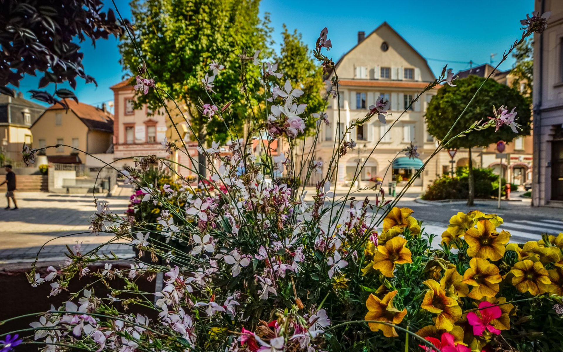 Site officiel de la commune de Cernay